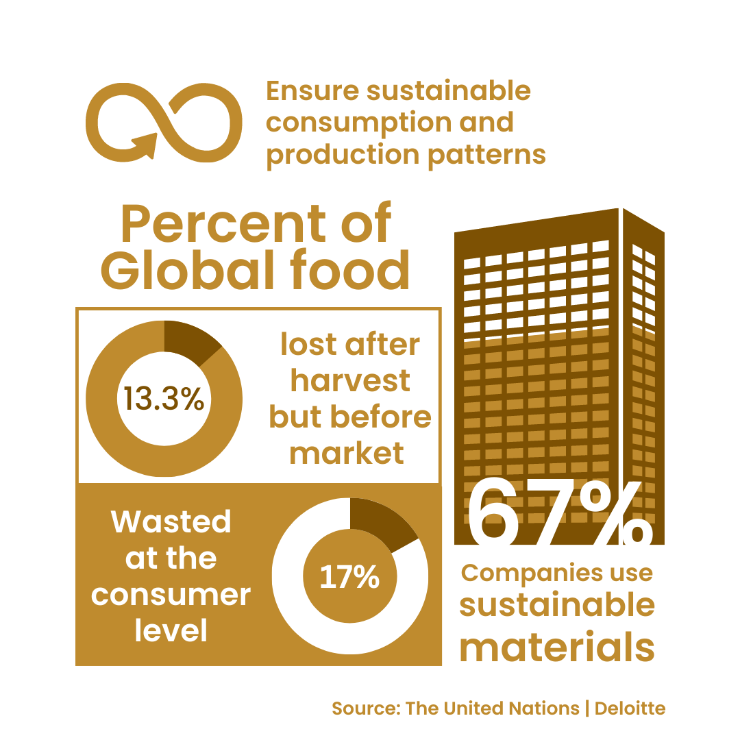 The United Nations SDG's: Where They Stand Today