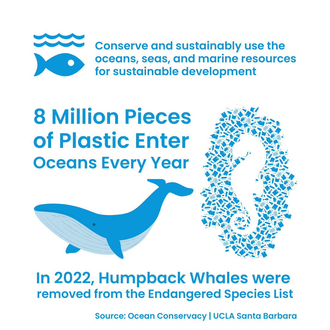 The United Nations SDG's: Where They Stand Today