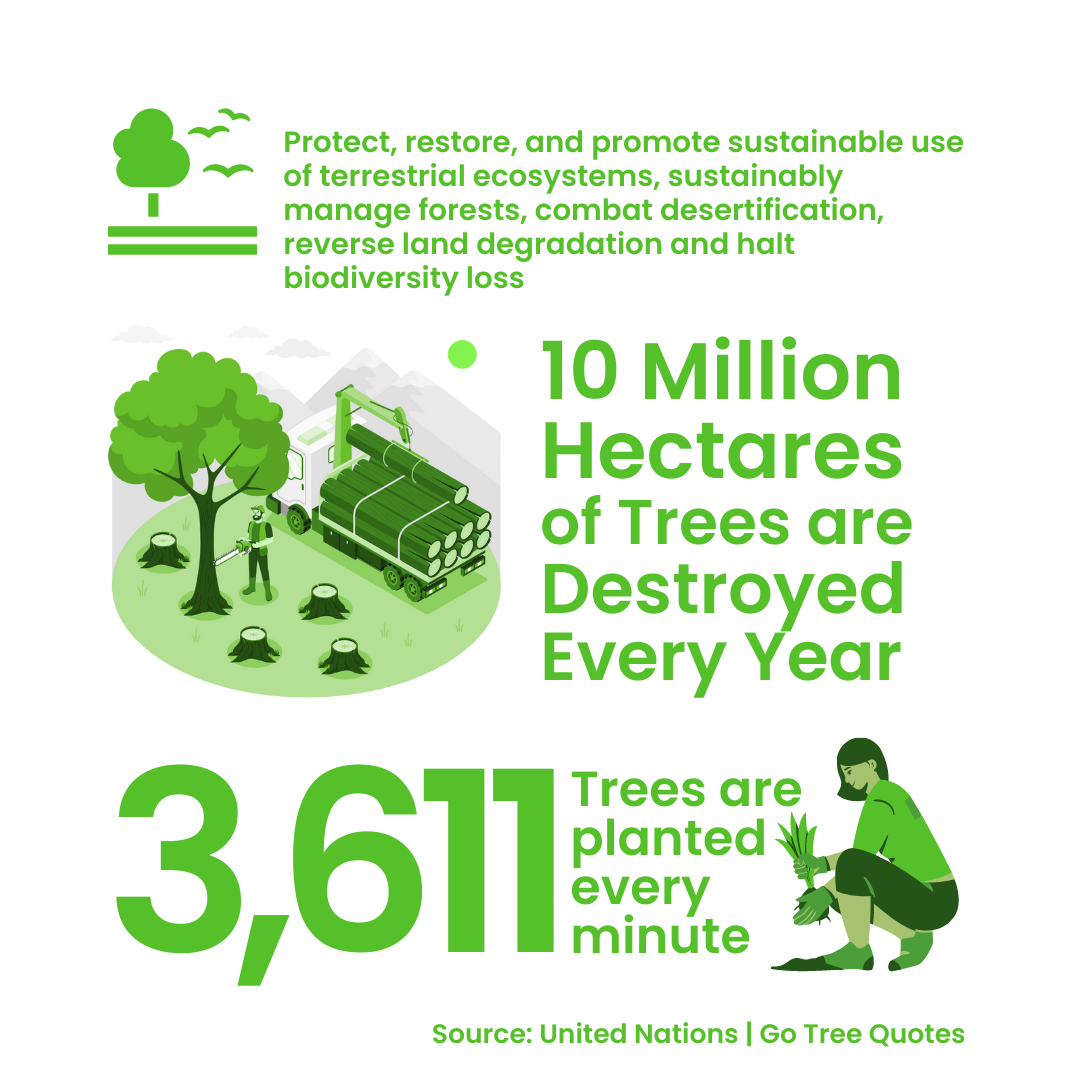The United Nations SDG's: Where They Stand Today