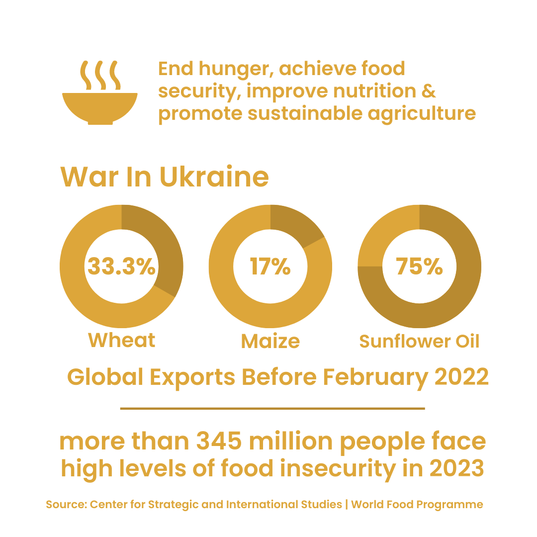 The United Nations SDG's: Where They Stand Today